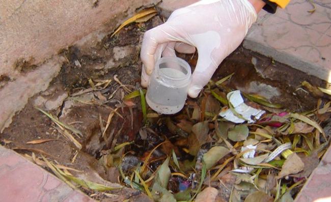 Cases Of Dengue Keeps Increasing | Q COSTA RICA