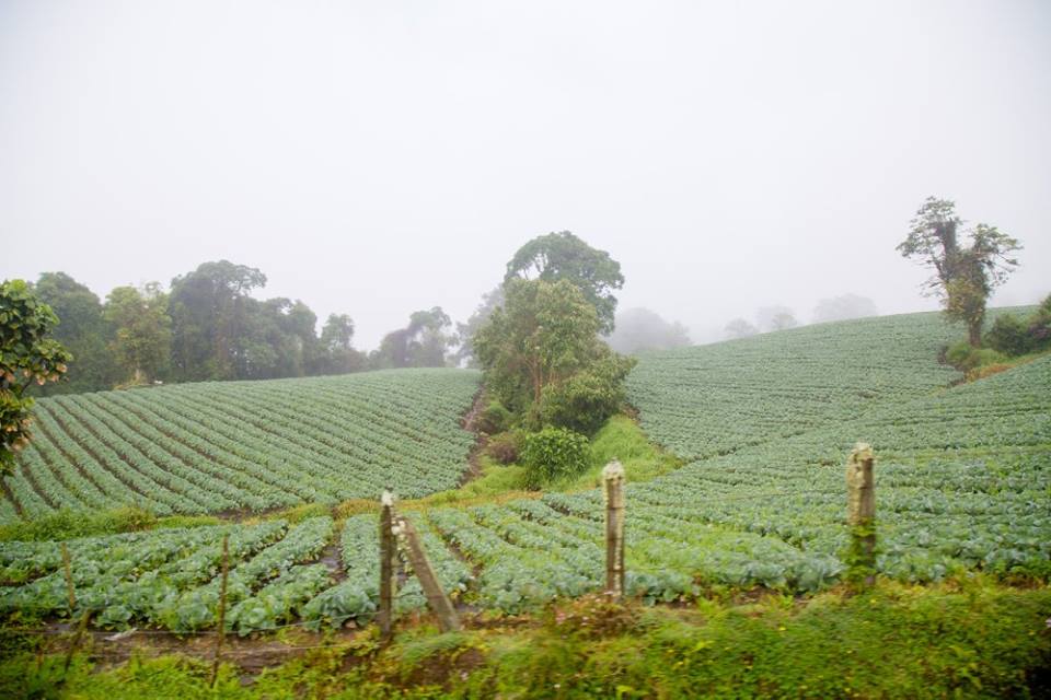 (Photos) Rural Costa Rica: Santa Cruz de Turrialba | Q COSTA RICA