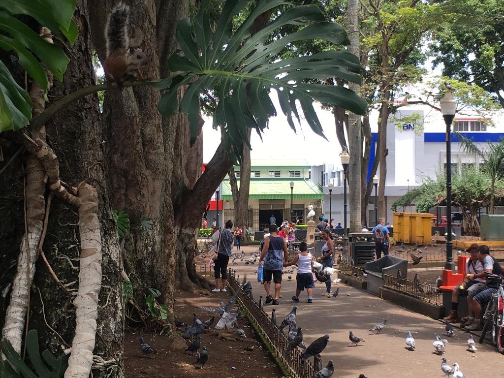 alajuela-central-park- | Q COSTA RICA